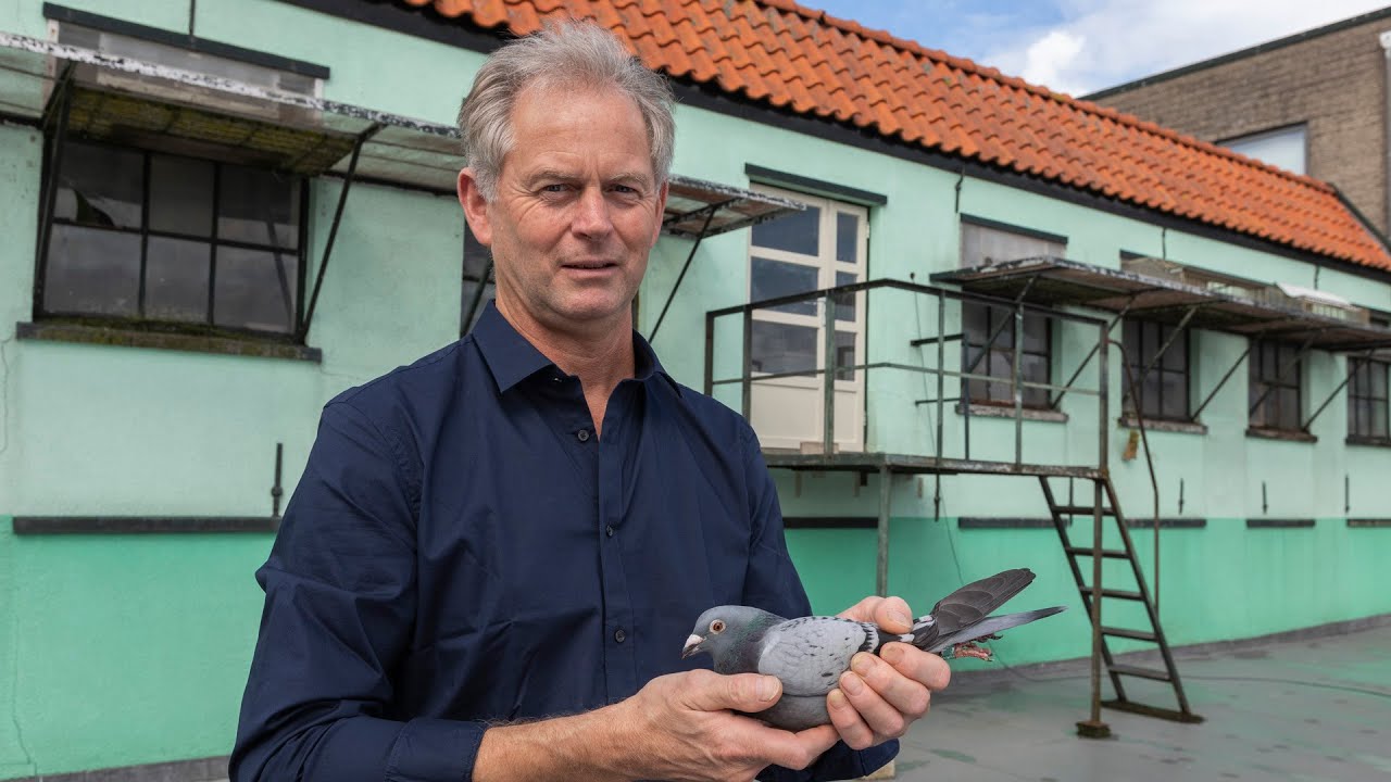 National (Grand Prix) NPO winners 2021: Libourne - Peter van Vliet, Utrecht - YouTube