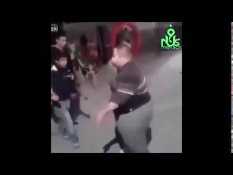 Aliko Dino  ŞAAK   ##########################