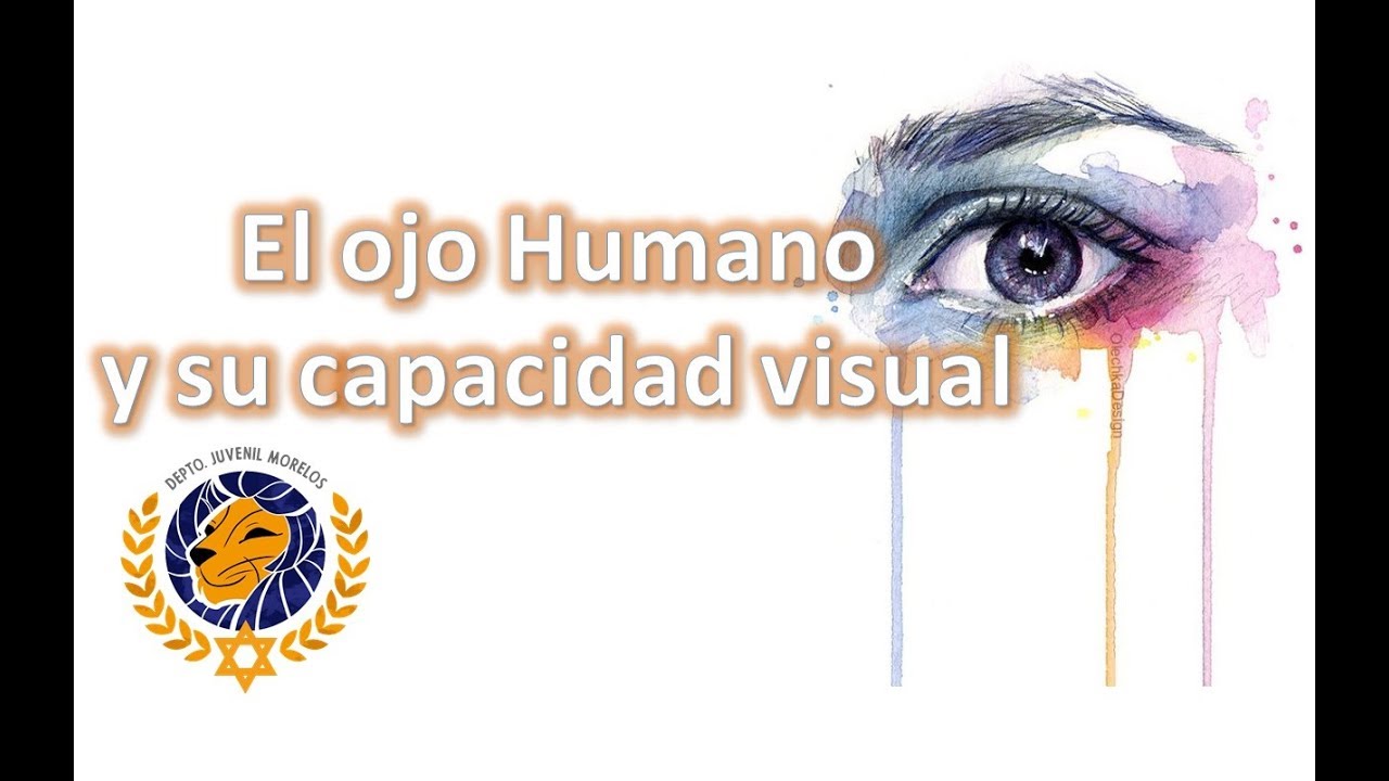 El ojo humano y su capacidad visual #IDI - YouTube