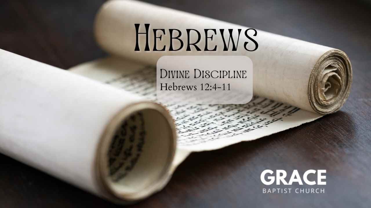 Divine Discipline | Hebrews 12:4-11 - YouTube