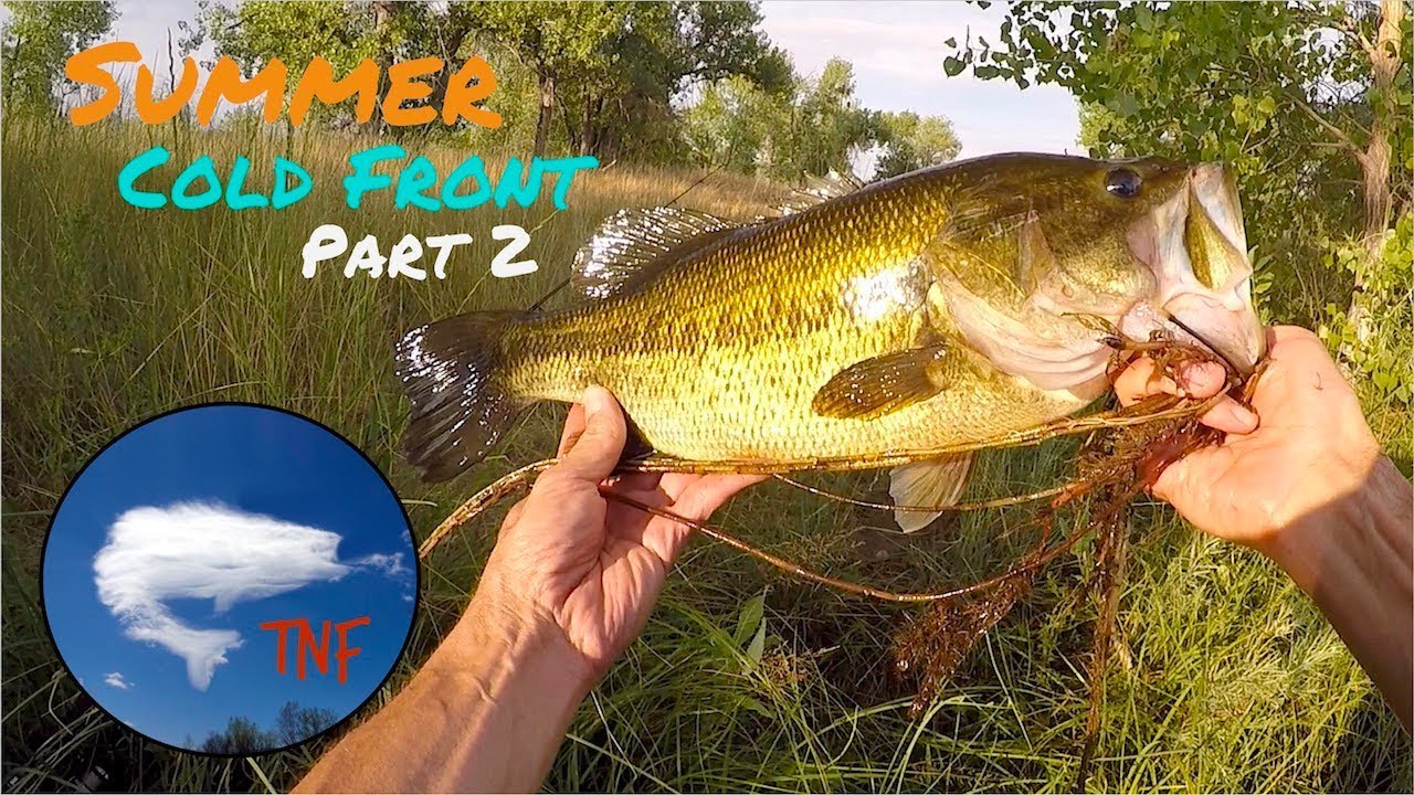 Bass Fishing Summer Post Cold Front: VFJ 6 - YouTube
