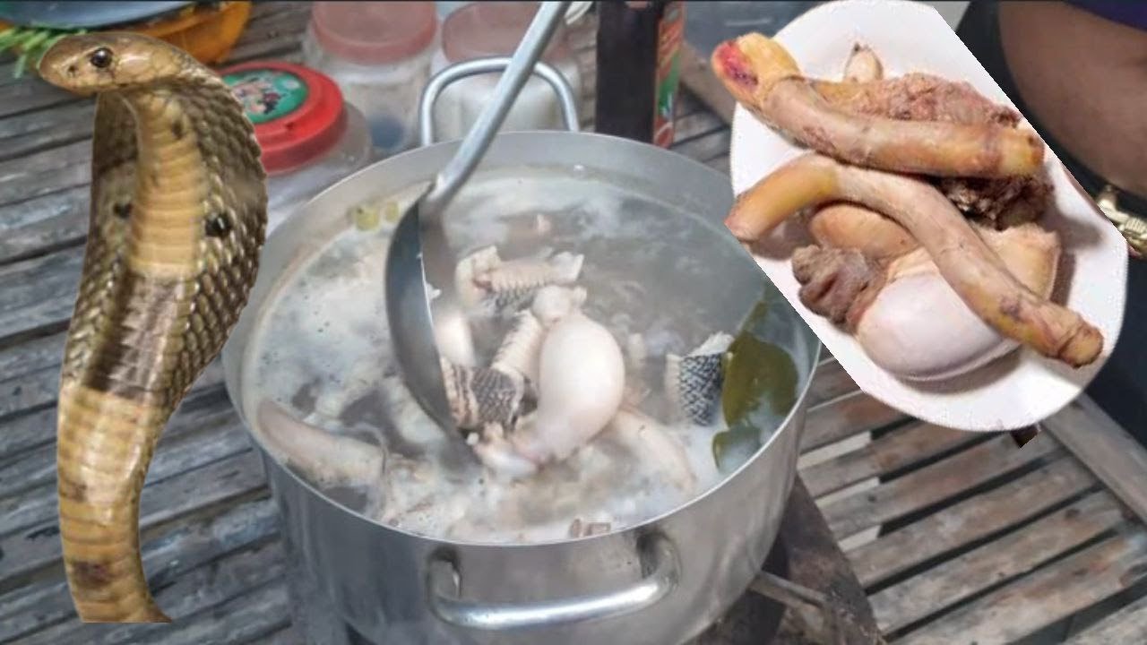 KING CABRA WITH PENIS COW SOUP | How To Cook King Cobra _ Cooking Snake ...