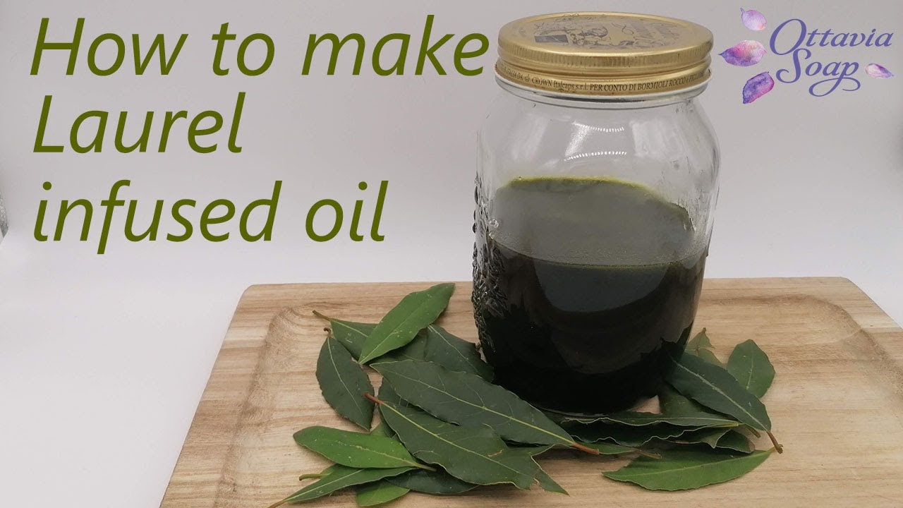 How to make Laurel infused Oil - SUBTITLED - YouTube