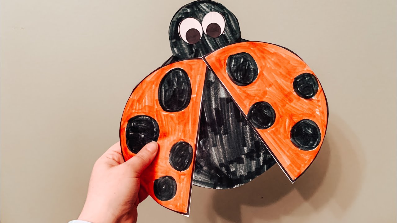 Ladybug Project - YouTube