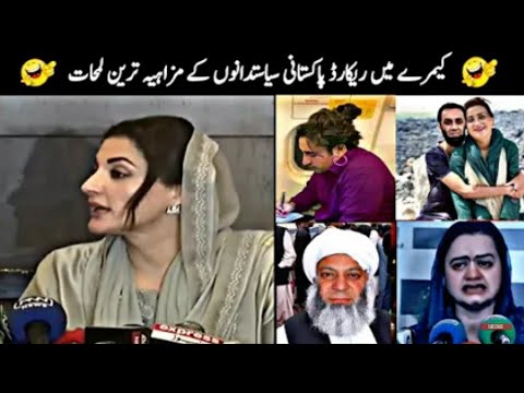 Maryam Nawaz Shahbaz Sharif Nawaz Sharif Rana sanaullah Maryam Dadu ...