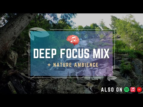 Deep Focus Mix - Haven of Zen - YouTube