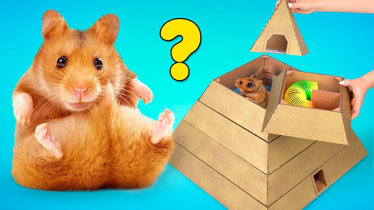 How To Make Awesome 6-Level Pyramid Maze For Your Hamster - YouTube