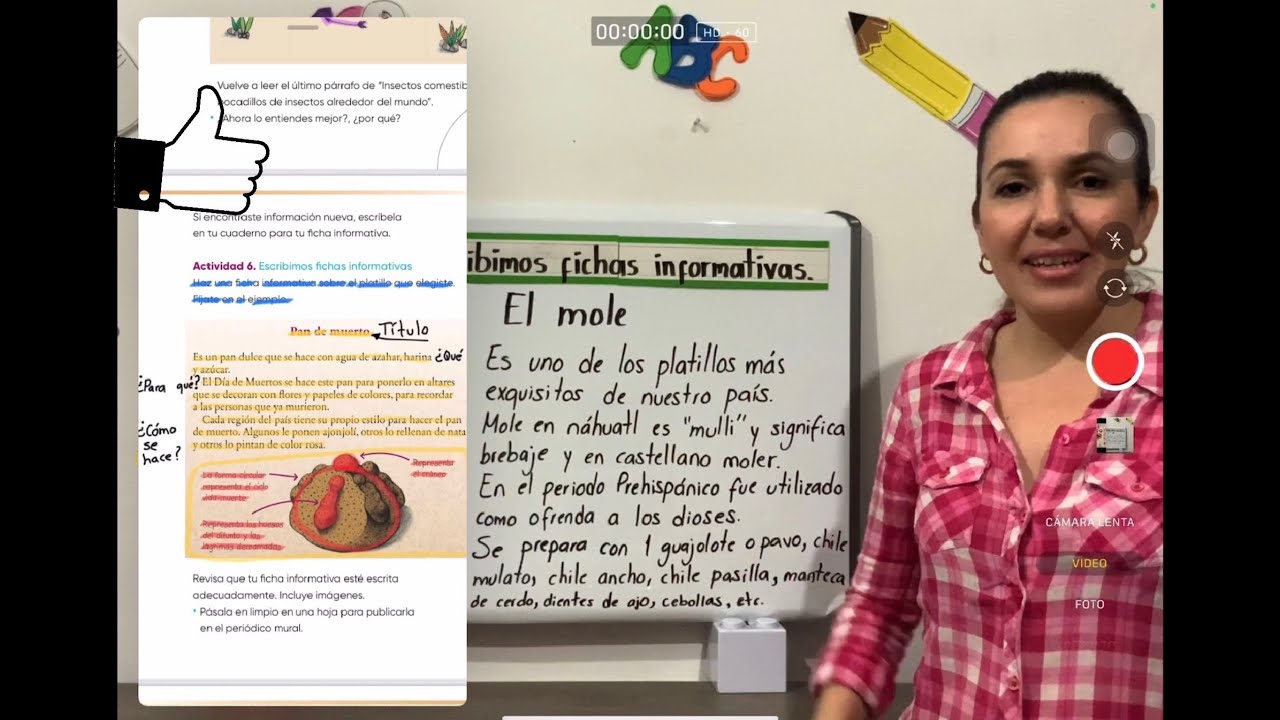 Escribimos fichas informativas. Español. Segundo grado. Pág. 90 - YouTube