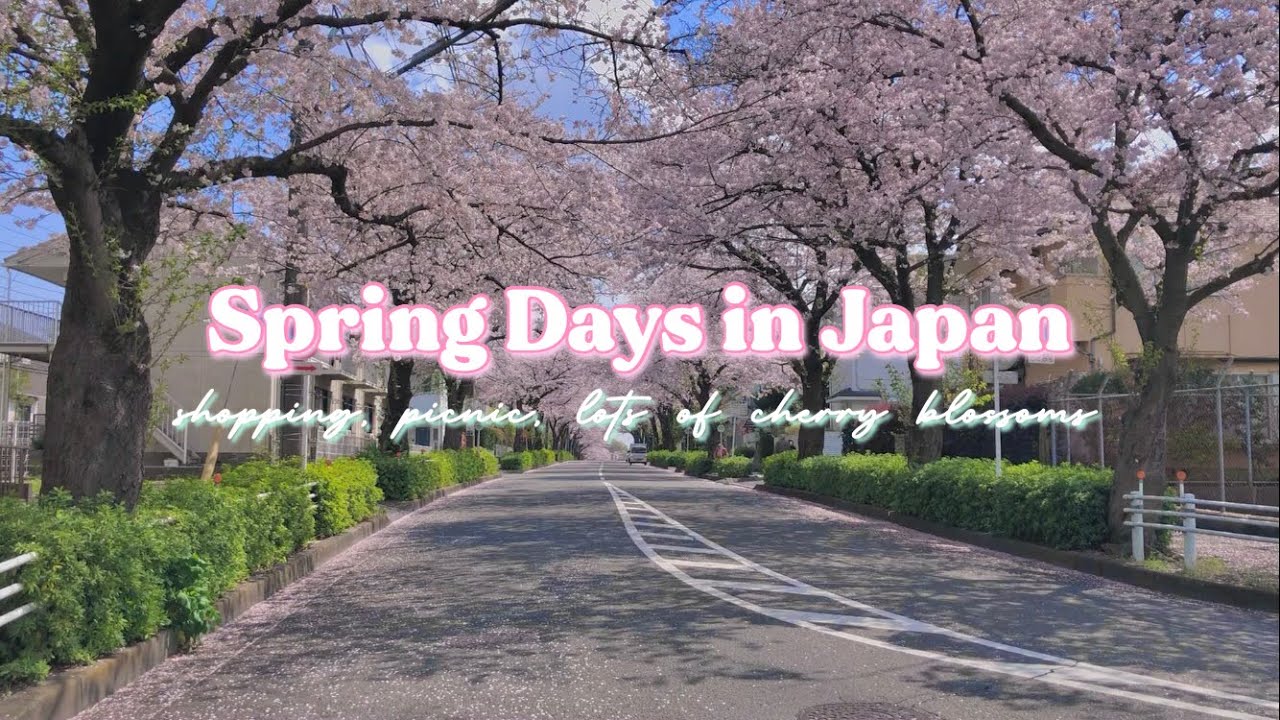 Spring Days in Japan vlog 🍙| Spring outings, packing bento, cherry ...