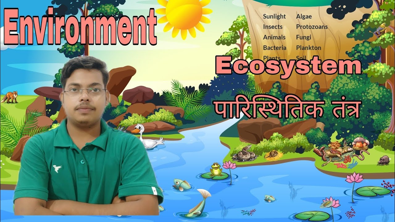 Environment and Ecosystem in hindi lecture PCS EXAM 2021-22 - YouTube