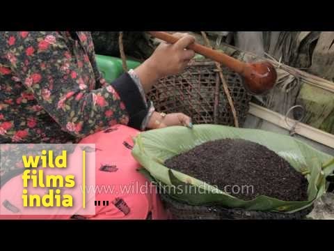 Woman making Apong, a popular local beverage in Arunachal Pradesh - YouTube