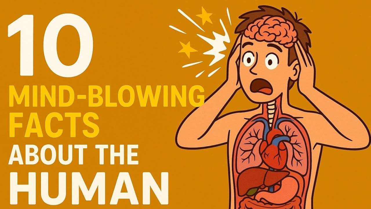 10 Mind-Blowing Facts About the Human Body You Never Knew! - YouTube