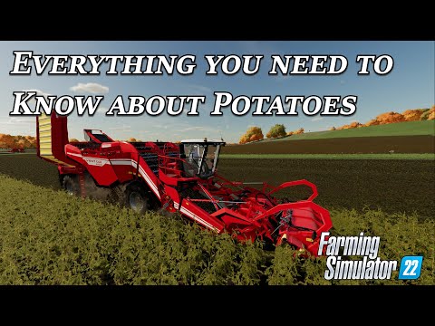 Everything you need to know about Potatoes in Farming Simulator 22 ...