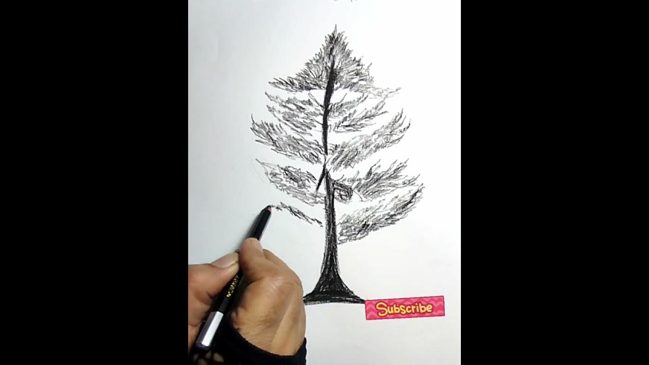 How to draw pine tree with charcoal.Easy drawing tutorial.#drawing# ...