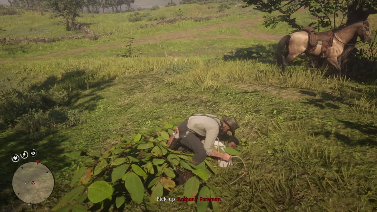 Susan Grimshaw runs over Arthur Morgan Red Dead Redemption 2 - YouTube