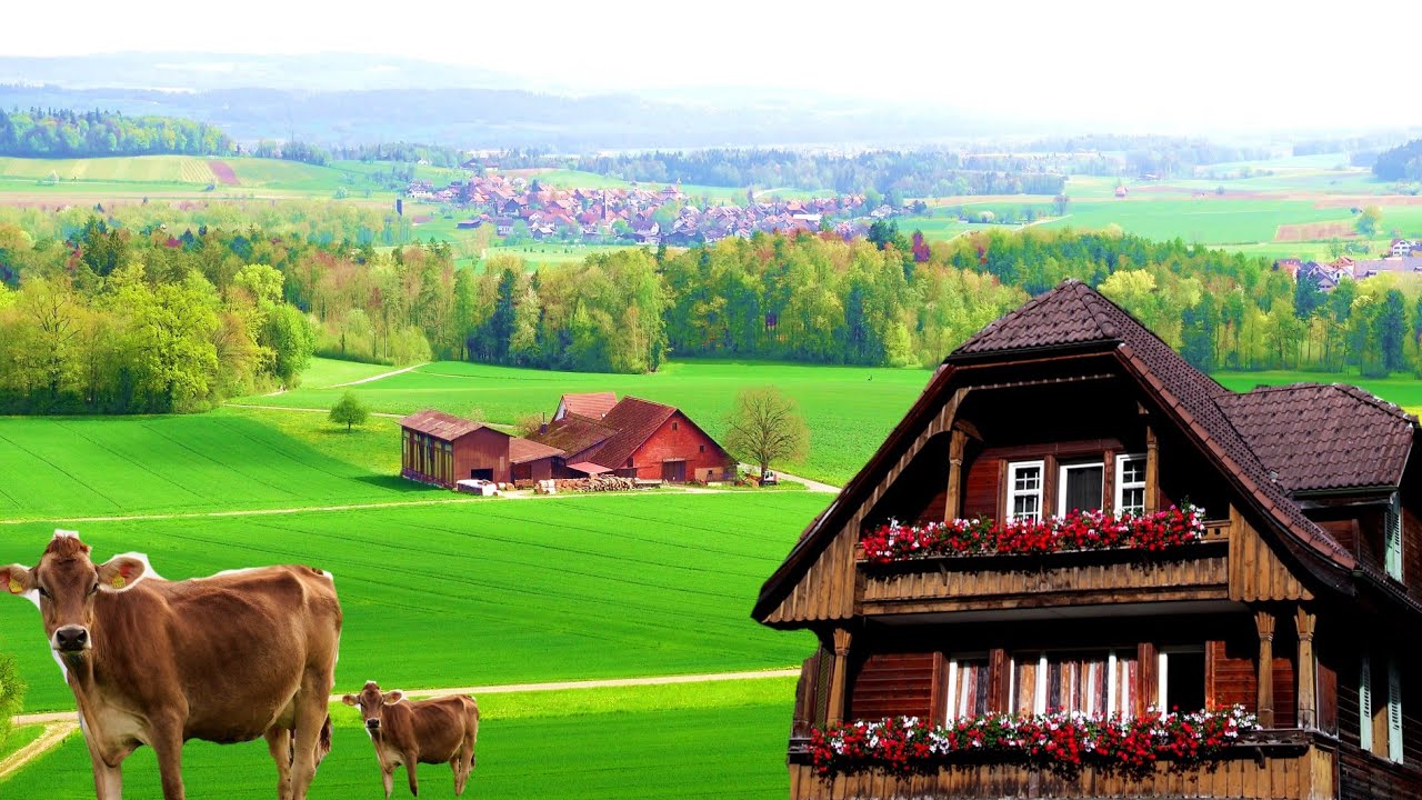 SUASANA PAGI DI DESA DI SWISS, Berkabut di musim semi - YouTube