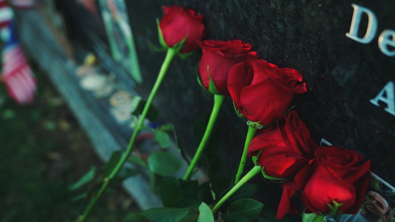 Shadow Dub - Never Been Easy (Official Music Video) - YouTube