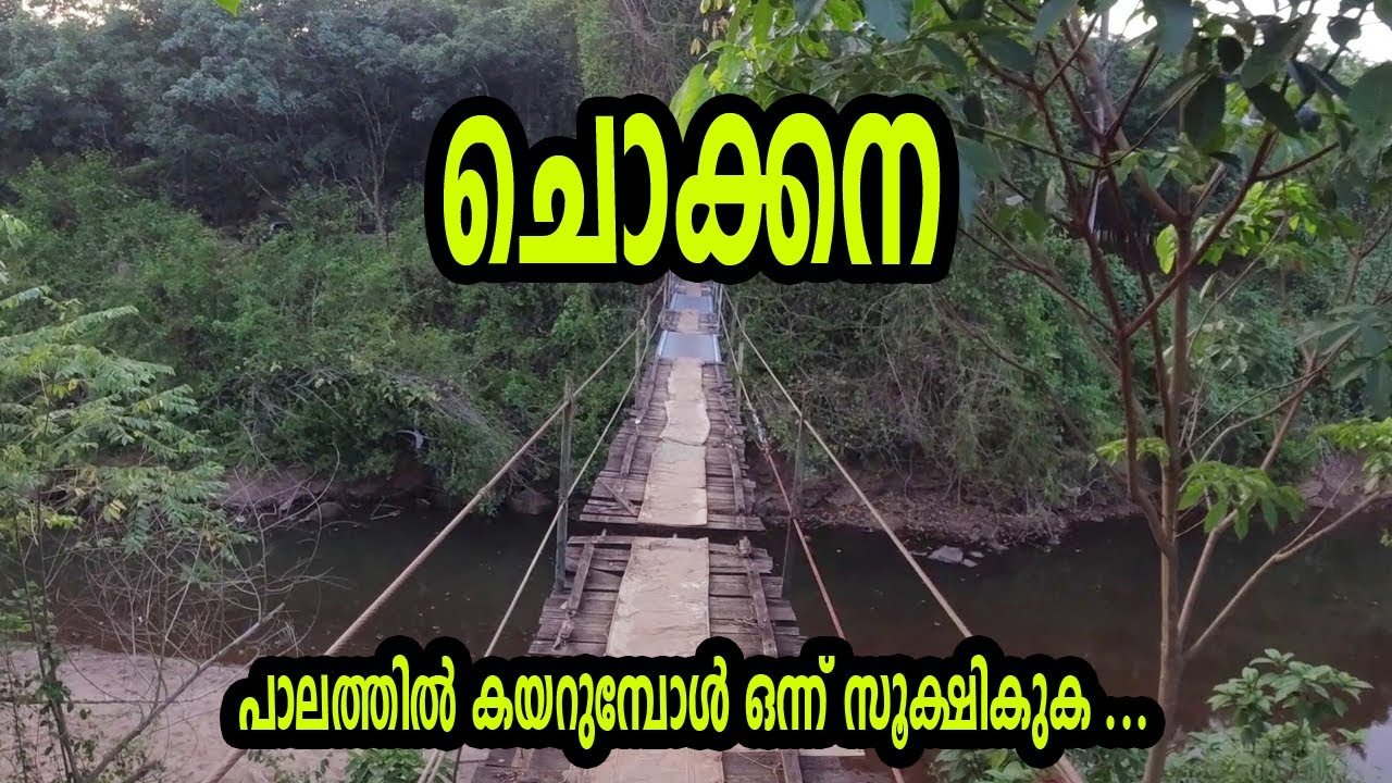 കാടിന്റെ ഭംഗിയും ...നാട്ടു വഴിയും ... Chokana Thrissur, The Elephant ...