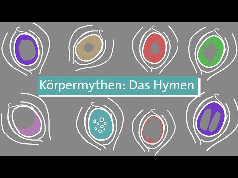 Facts über das Hymen (auch Jungfernhäutchen genannt)