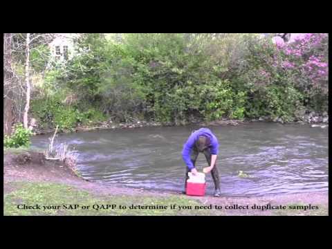 How to Collect a Grab Sample - YouTube