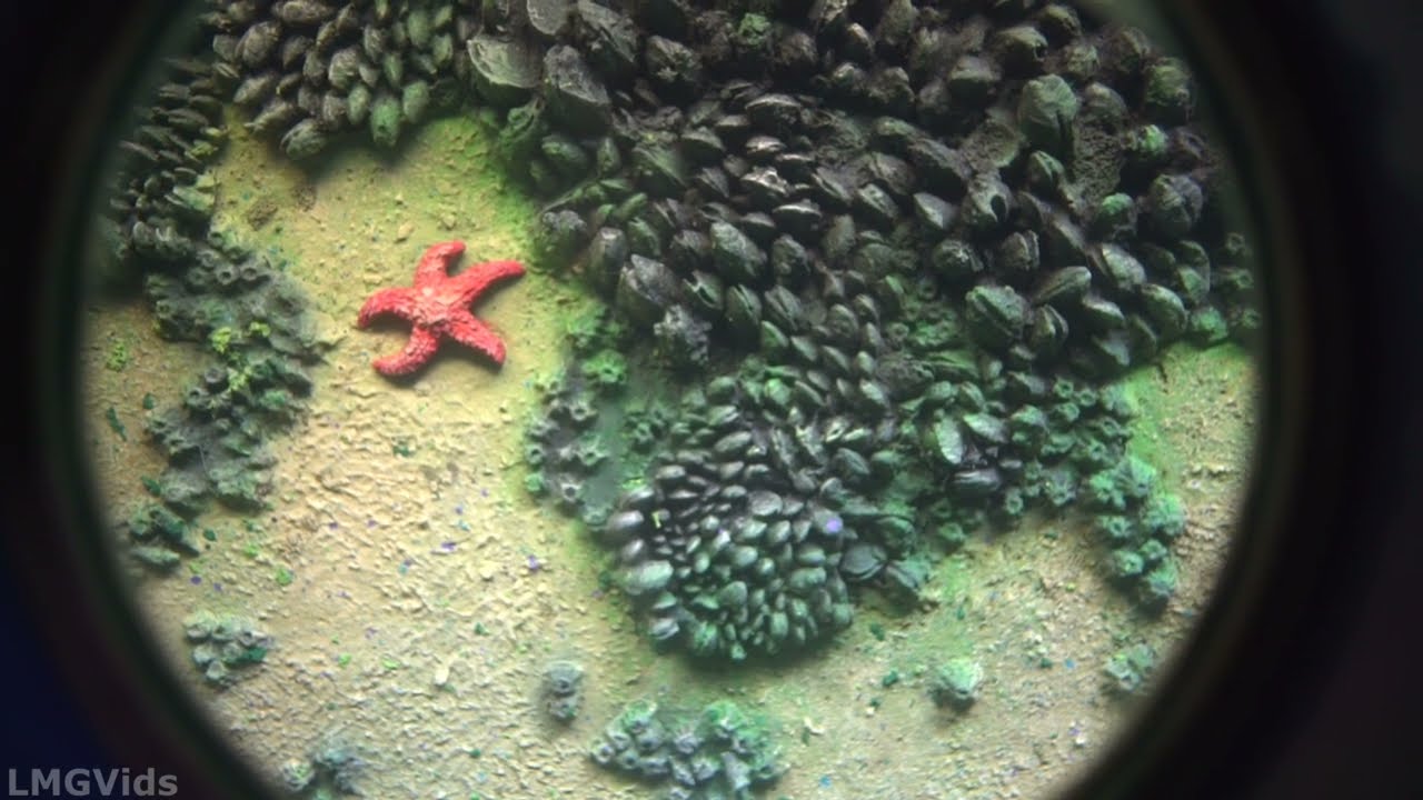 [4K POV] Finding Nemo Submarine Voyage ride (Extreme Low Light ...