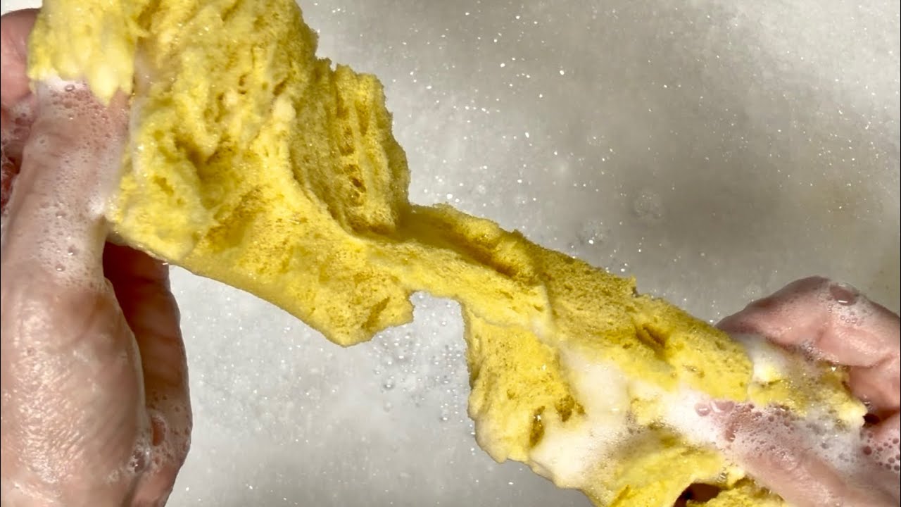 💛💛⭐️⭐️NEW Sponges Rinse (Just Clear Water) + Soapy sponges Ripping ...