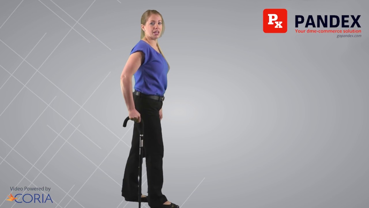 Cane Training - YouTube