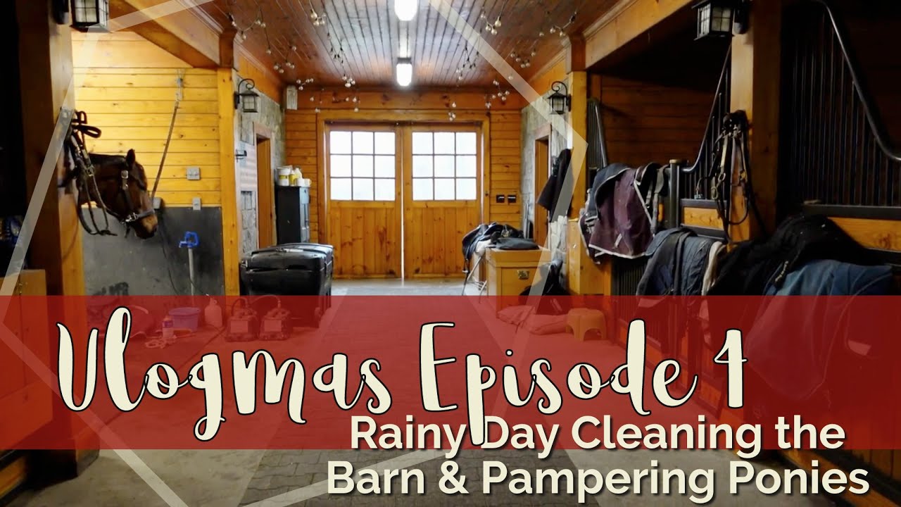 RAINY DAY BARN VLOG: Cleaning Up the Barn + Pampering for the Ponies ...