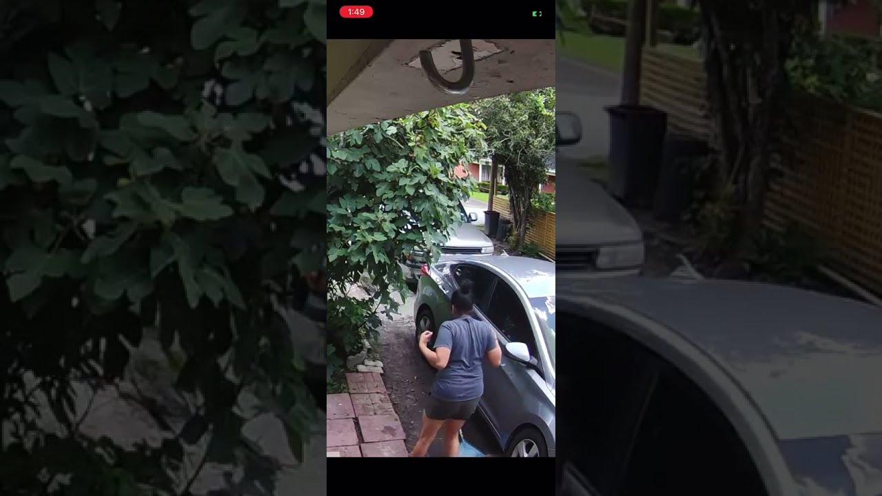 Ring camera catches girl freaking out over stick bug! - YouTube