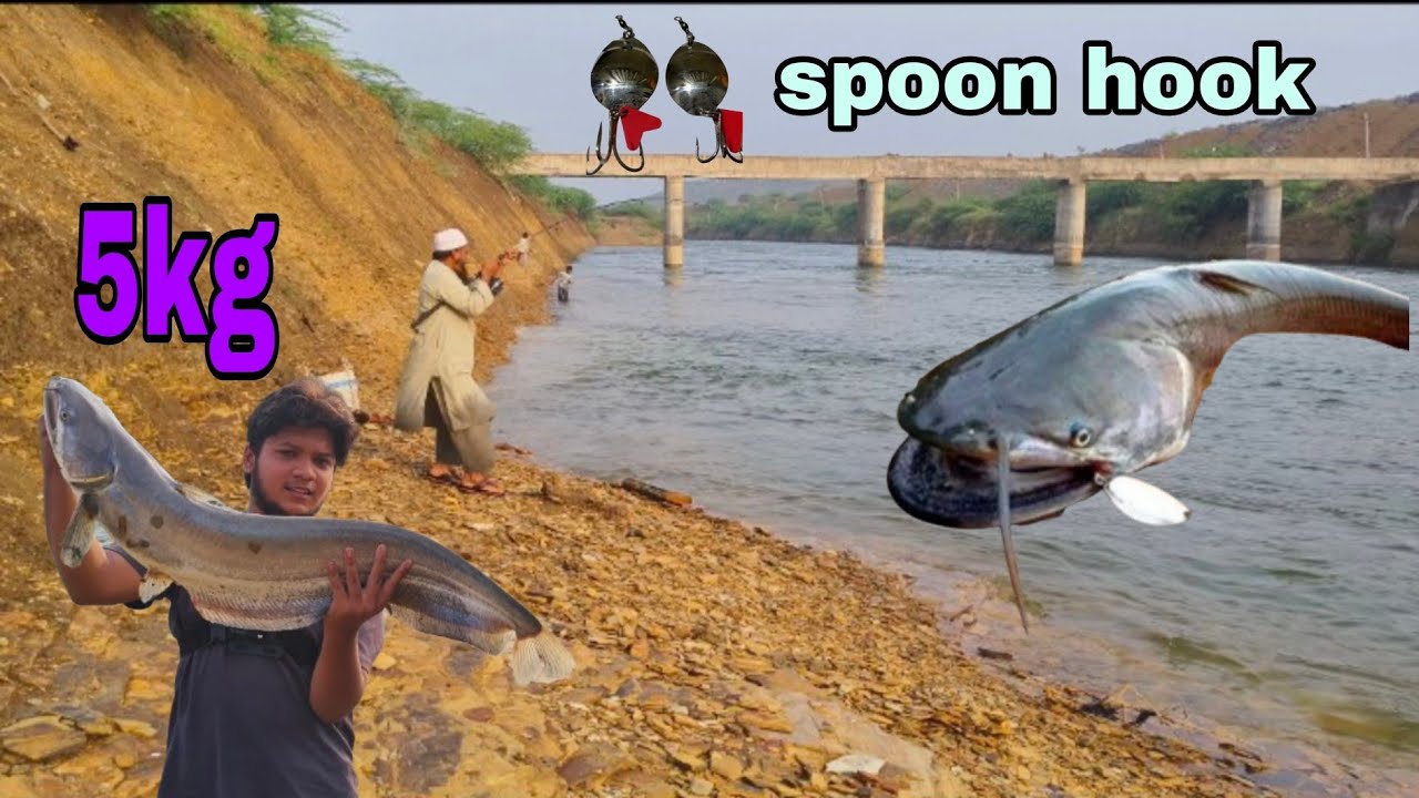 Monster pathan fish attract on spoon hook 😱🦈🦈🦈🦈wallega fishes🦈Dam 🦈🦈 ...