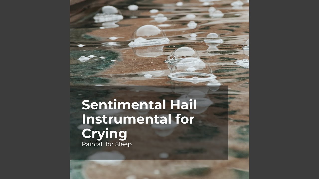 Hush Rainfall at Dusk - YouTube