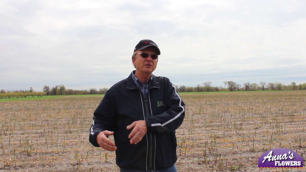 Featured Farmer: Wrightland Farm! - YouTube