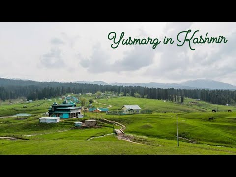 Yusmarg in Kashmir Valley || Beautiful Kashmir || Tourist Place in ...