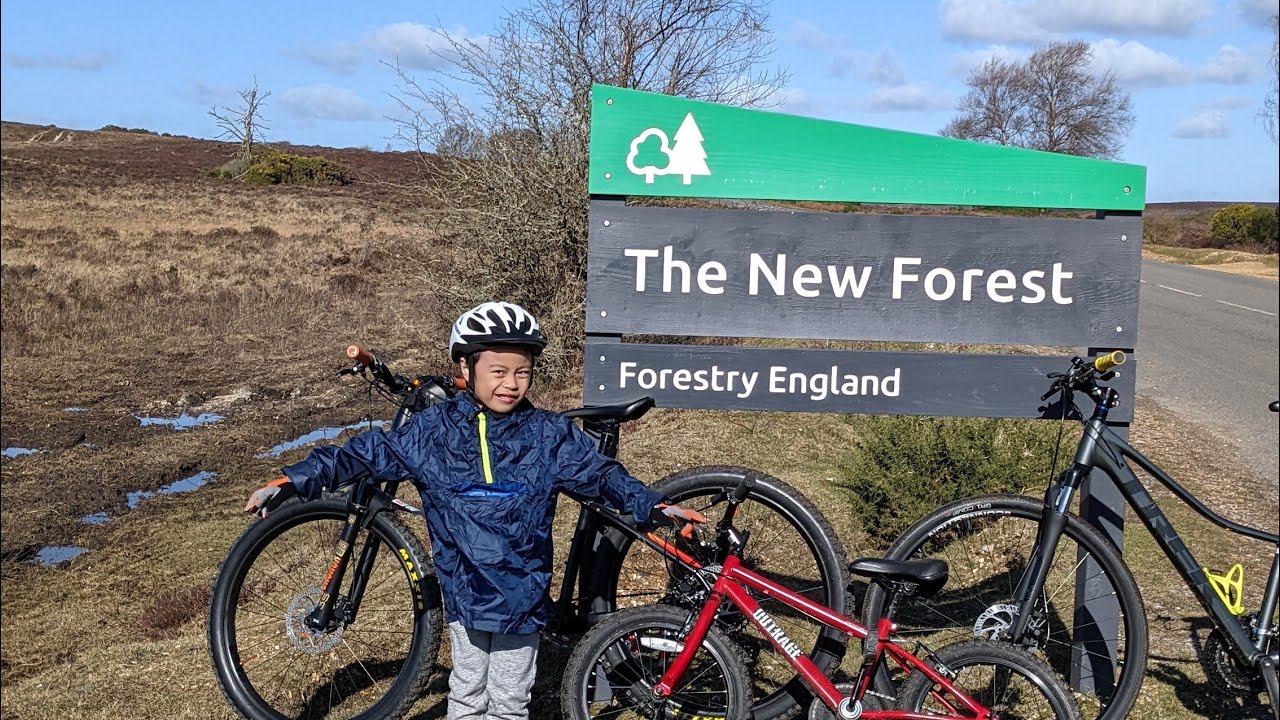 New Forest 2022 - Old Railway line - YouTube