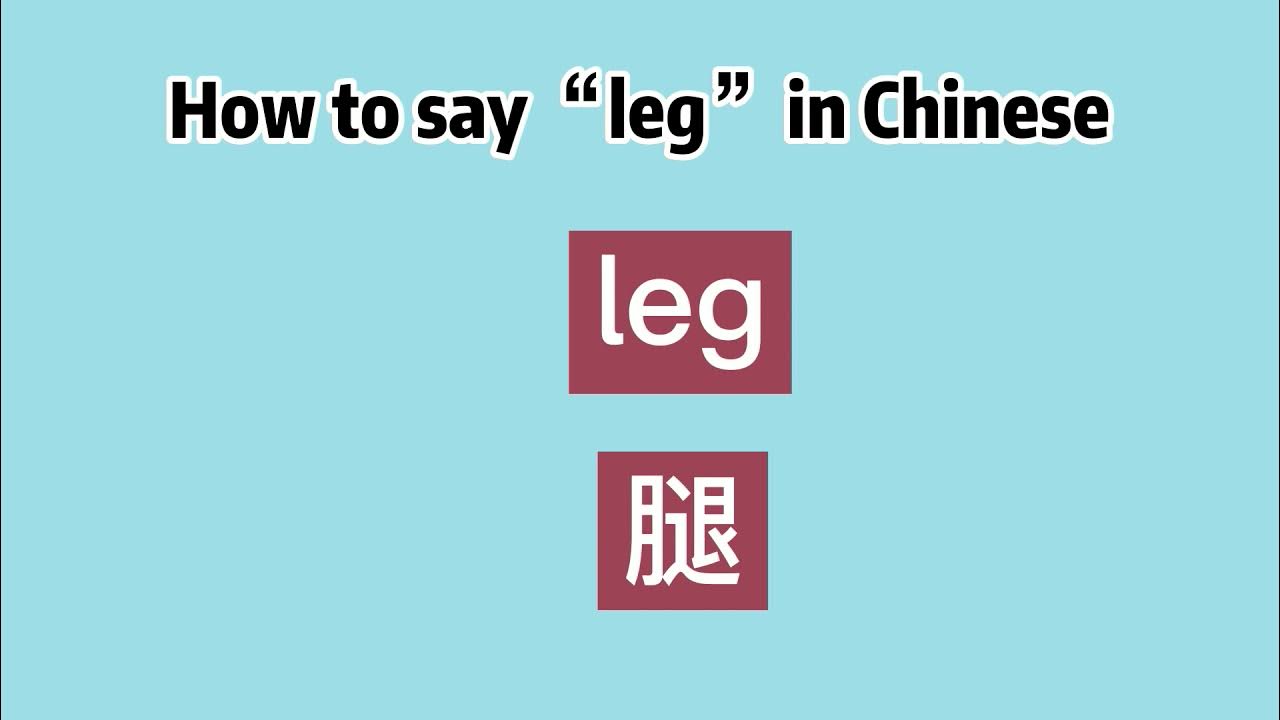 How To Say leg In Chinese YouTube how-to-say-leg-in-chinese-youtube