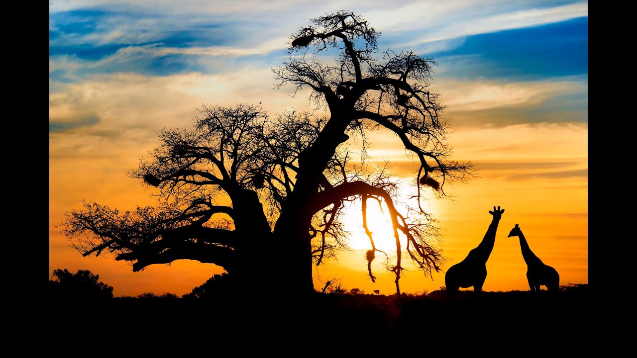 Music for Meditation, Relaxing Music, Music for Stress Relief, Soft ...