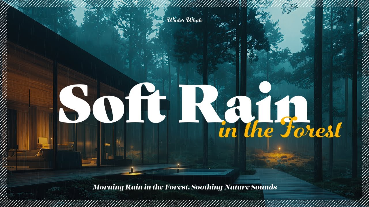 Early Morning Soft Rain in the Forest | Rain Sounds for Deep Sleep and ...