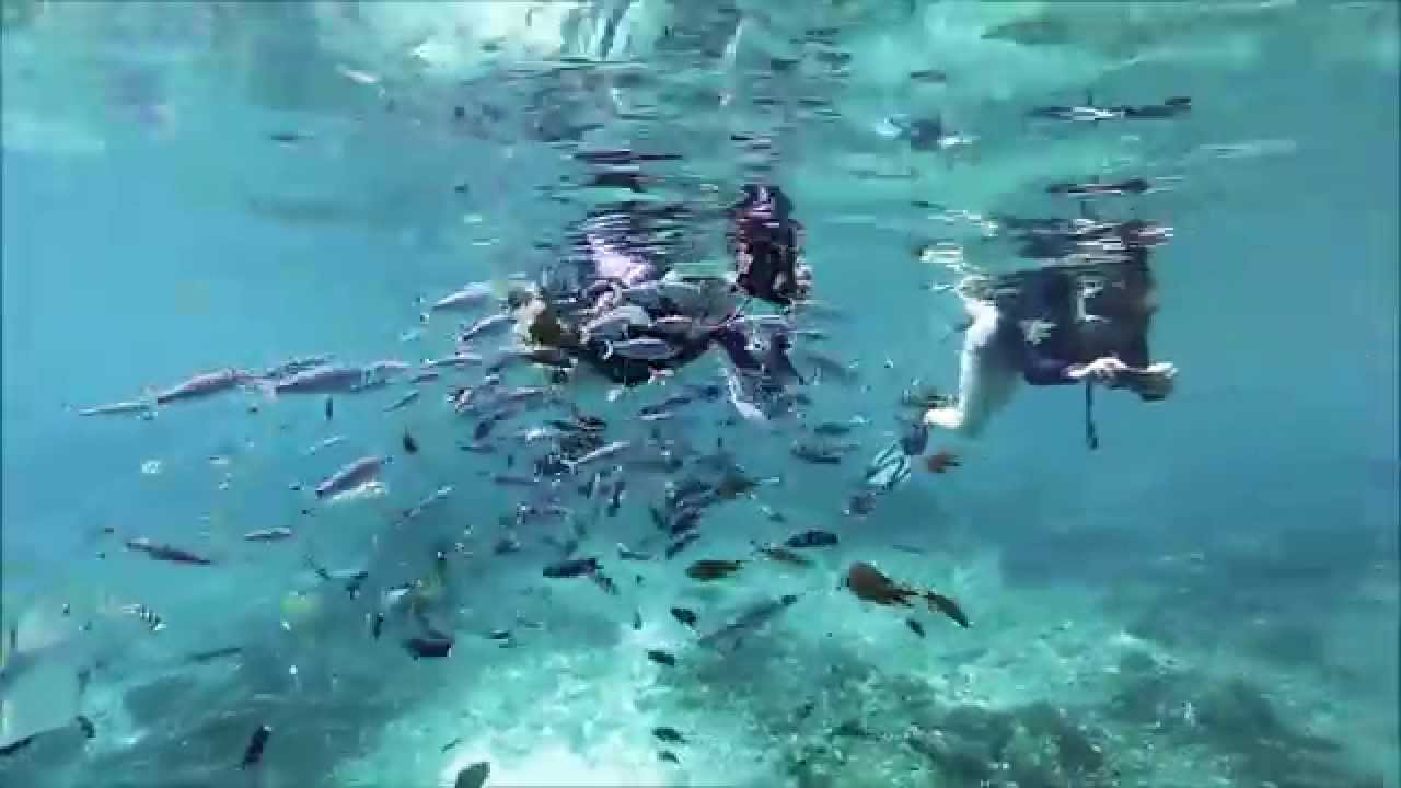 Hilutungan Island Marine Sanctuary,Cebu,Philippines - YouTube