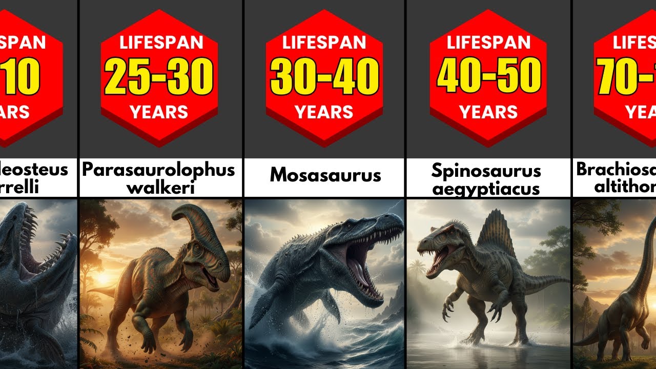 “Top 50 Extinct Animals Ranked by Lifespan | Timeline Comparison” - YouTube