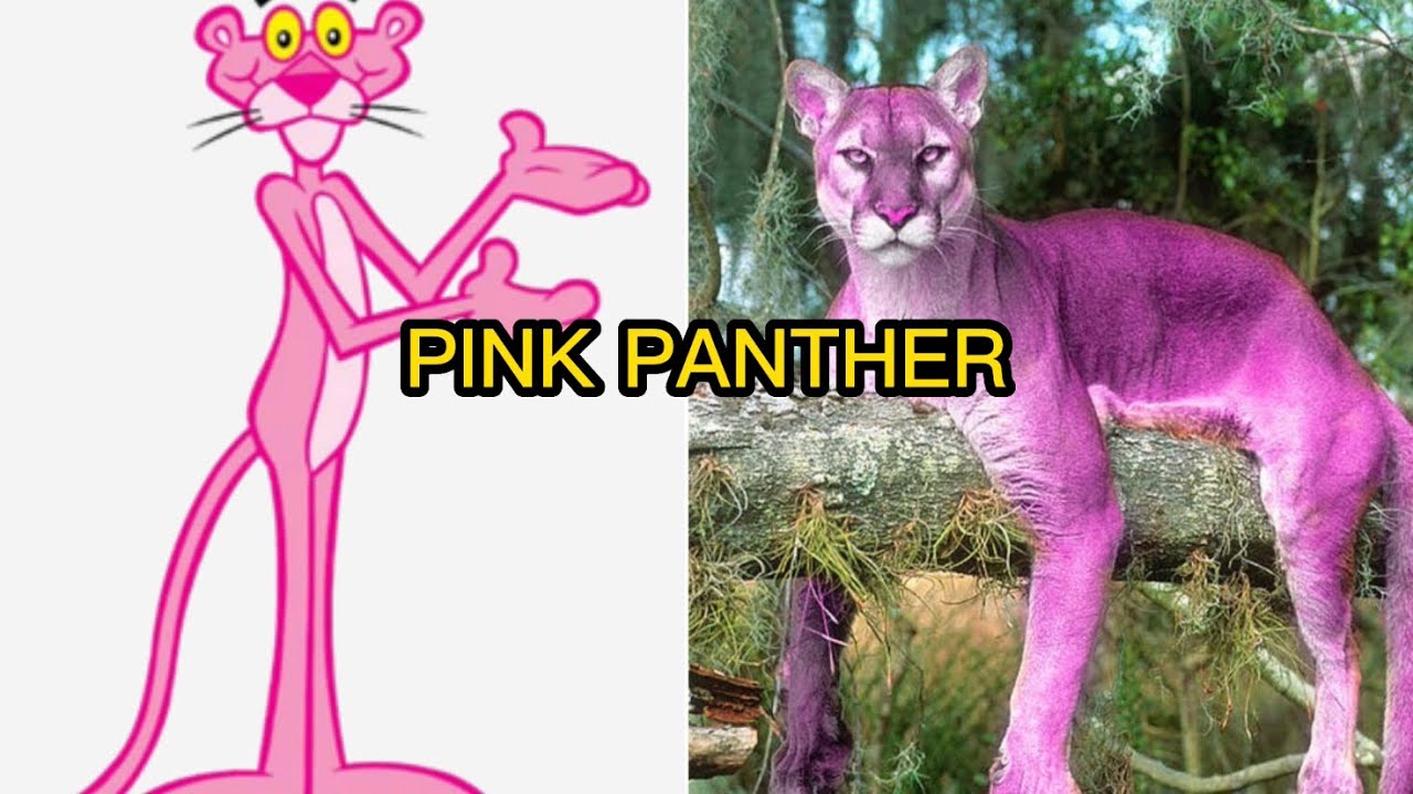 PINK PANTHER AND PALS CHARACTERS IN REAL LIFE - YouTube
