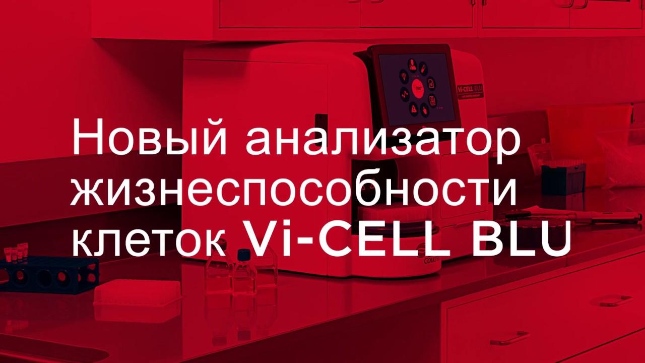 Vi CELL BLU Launch Video Russian - YouTube