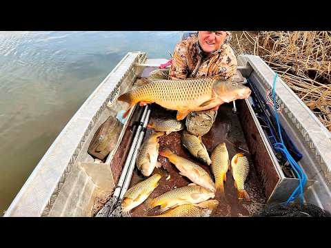 ВОТ ЭТО РЫБАЛКА! ПОЛНАЯ ЛОДКА РЫБЫ! БЕШЕНЫЙ КЛЁВ САЗАНА! Рыбалка на сазана весной, ловля на донку.