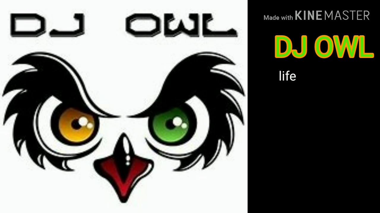 DJ owl - life - YouTube