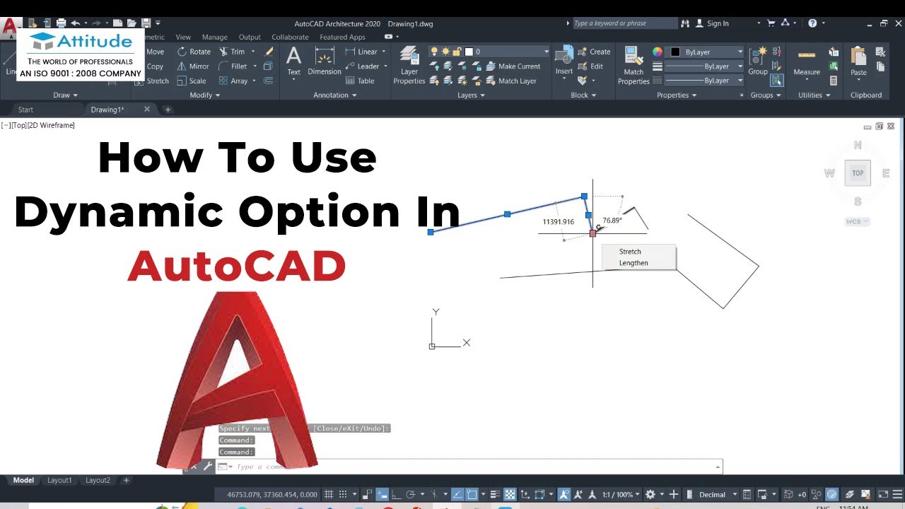 How To Use Dynamic Option In AutoCAD | Learn With Attitude Academy ...