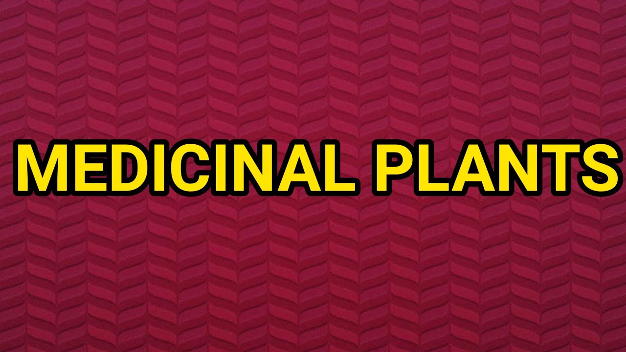 Medicinal Plant Name Medicinal Plants Name In English Medicinal Plants Name Learn With