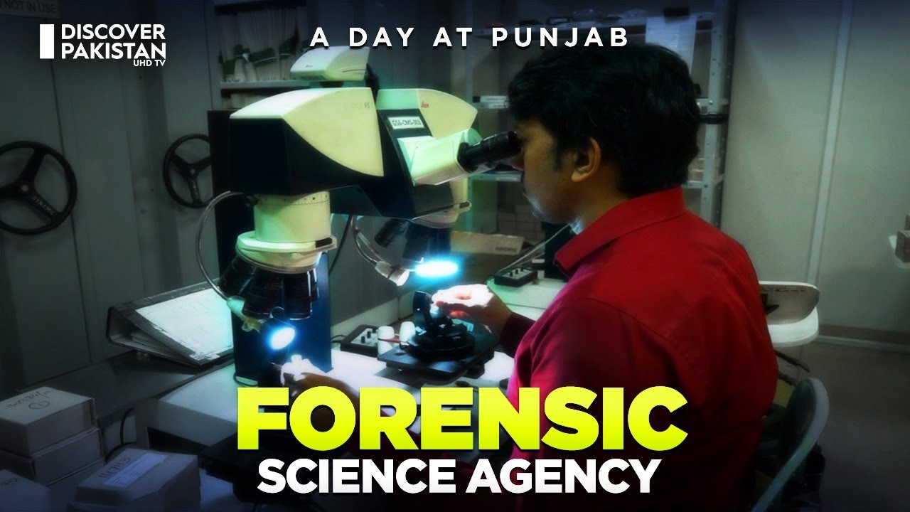 A day at Punjab Forensic Science Agency | Discover Exclusive - YouTube