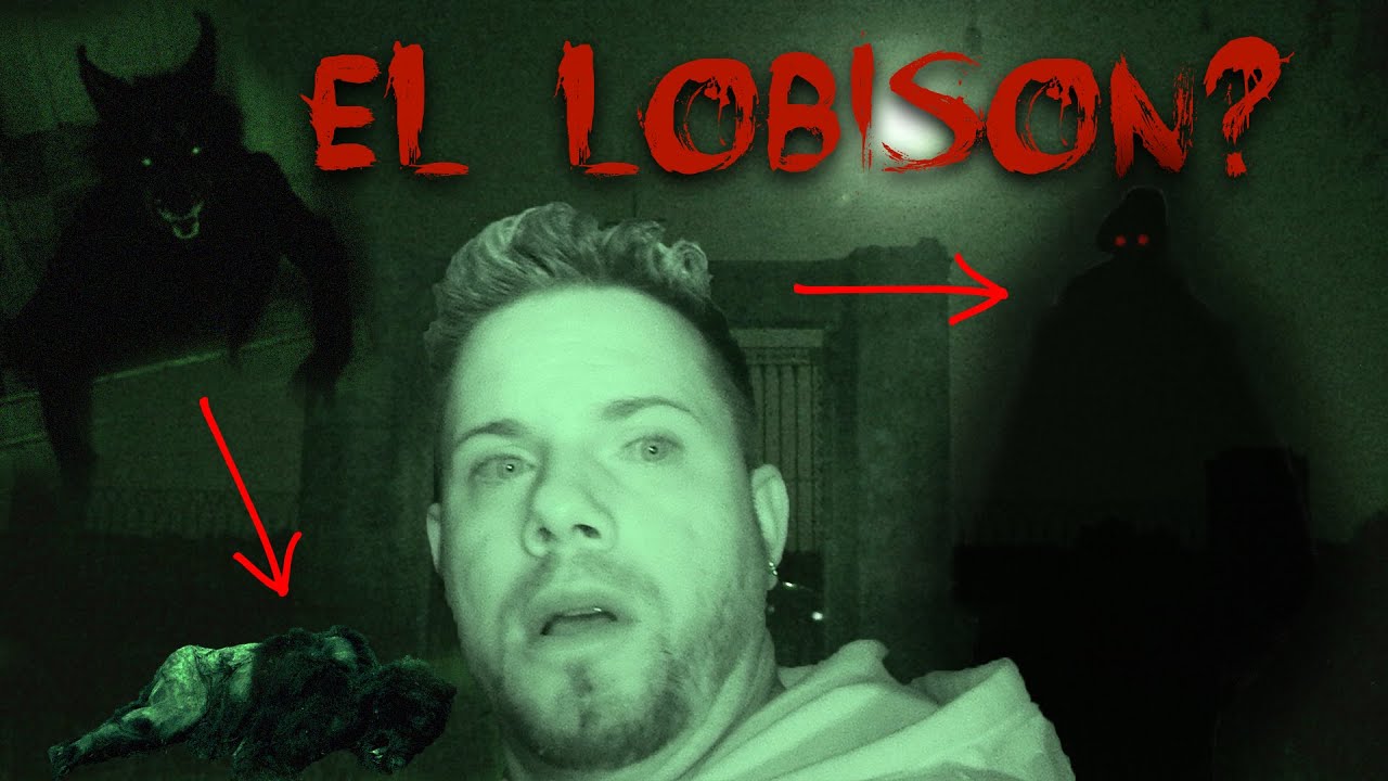 (Video Real) Capturamos al Lobizon en Camara - YouTube