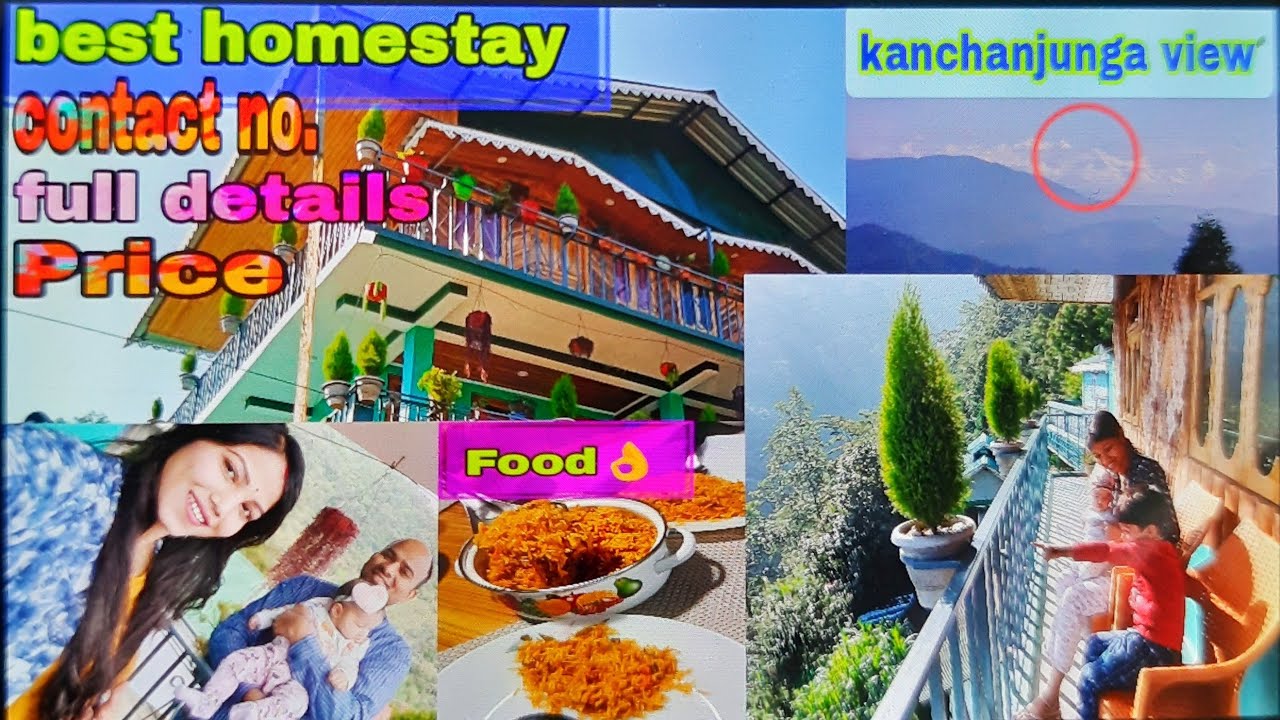 Best Homestay in Darjeeling With Kanchanjunga View😍 |Which Homestay is ...