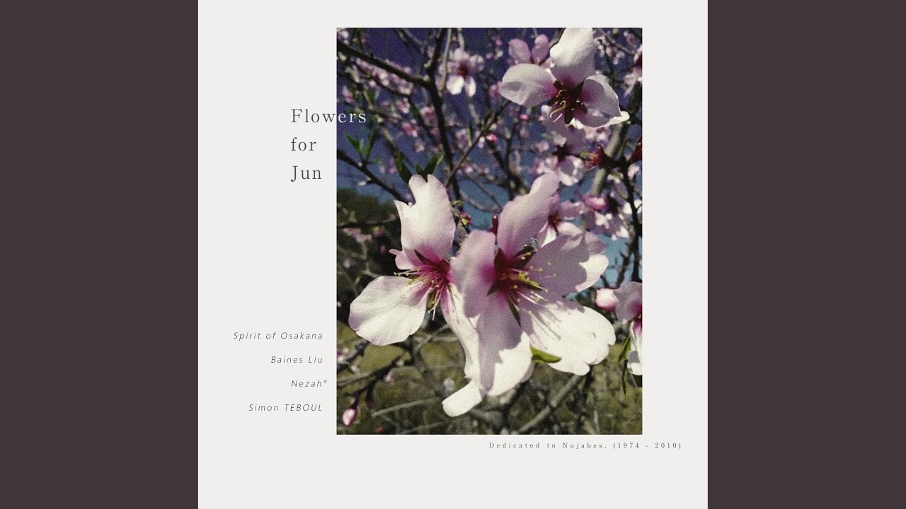 For Seba Jun (Instrumental) - YouTube