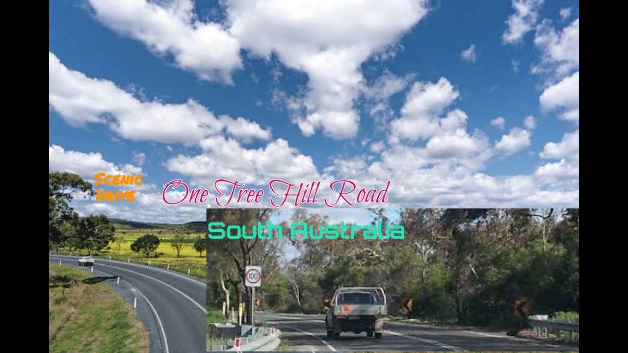 Scenic Drive @ One Tree Hill Road in South Australia - YouTube